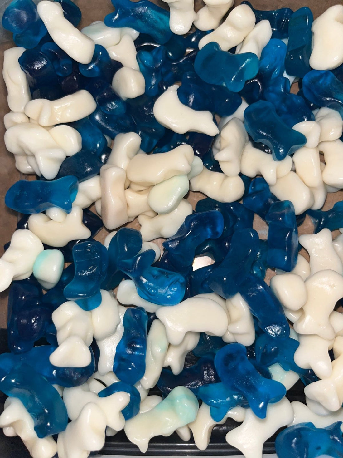 Baby Dolphins – Essex Sweet Tooth
